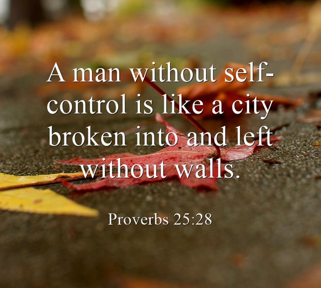 Self-Control - A Christian Mindset